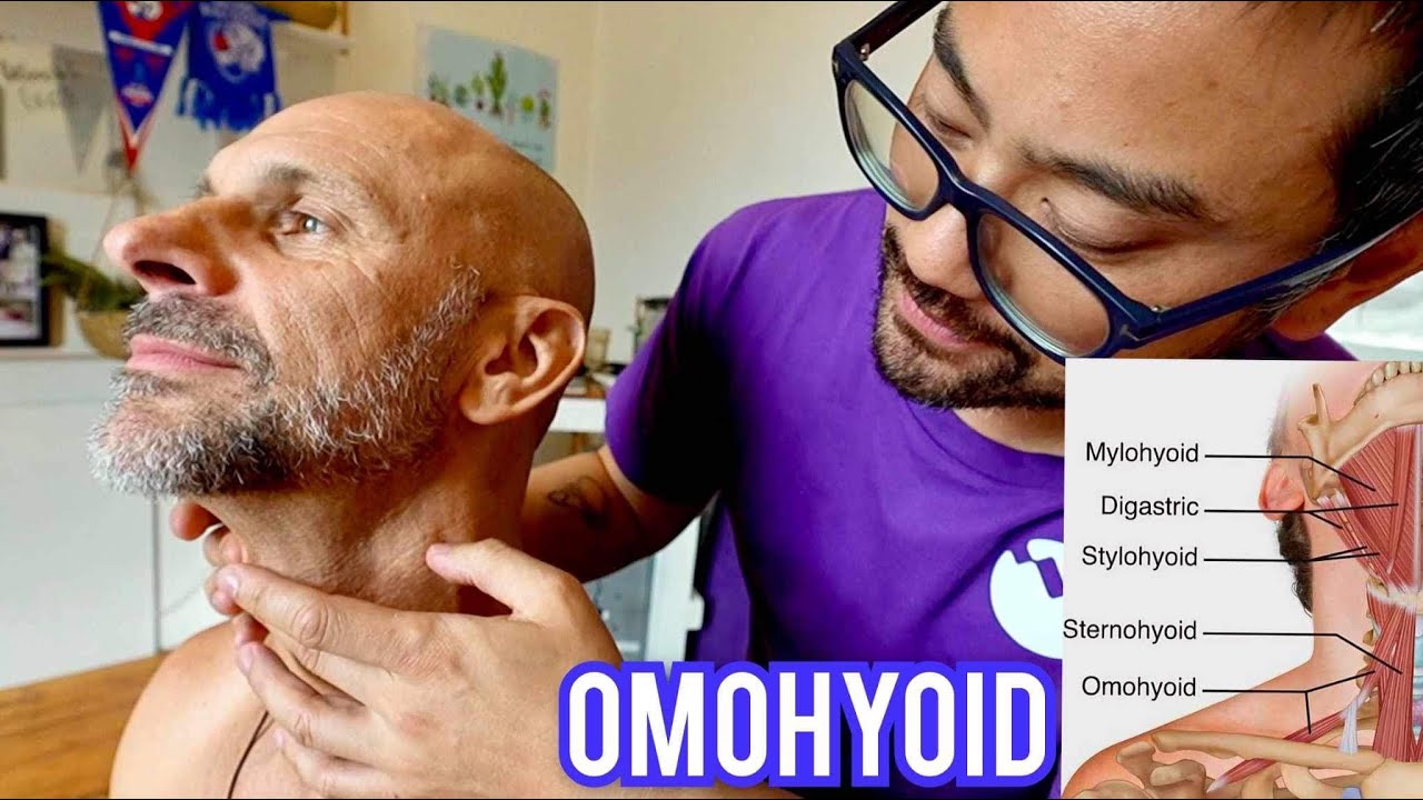 OMOHYOID | Ninja’s Obscure Anatomy Part 8 - YouTube