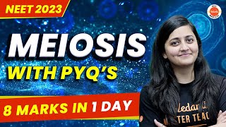 Meiosis with PYQs Class 11 Biology - 8 MARKS in One Day... | Doovi