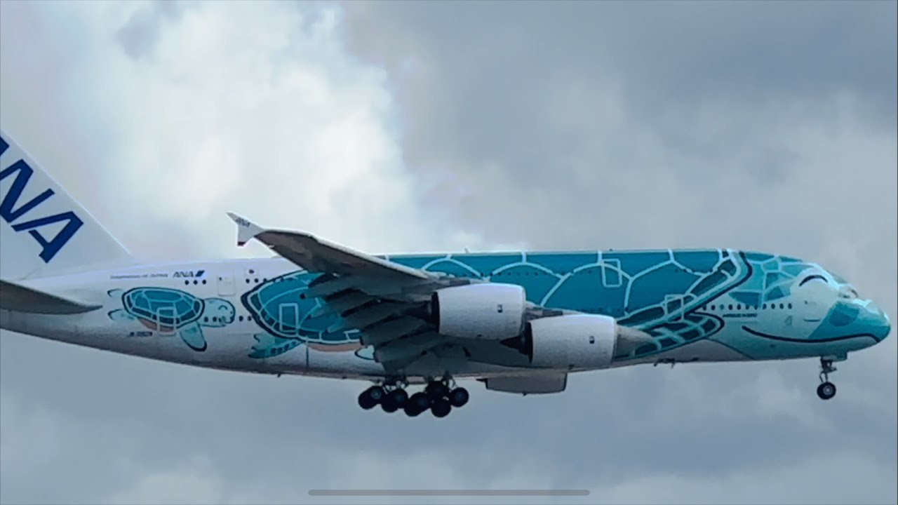 Emerald Green Honu Airbus A380 by ANA on final at HNL - YouTube