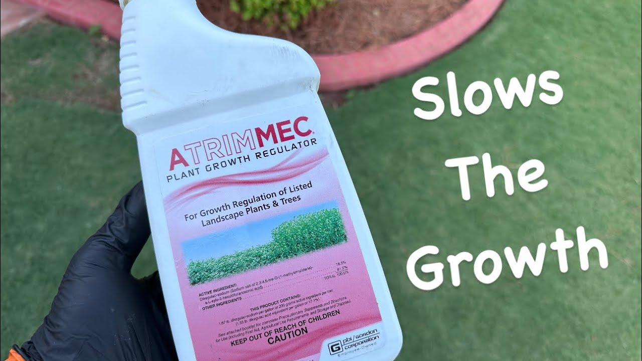 “Slow Down Bush Growth with Atrimmec – Step-by-Step Tutorial” - YouTube