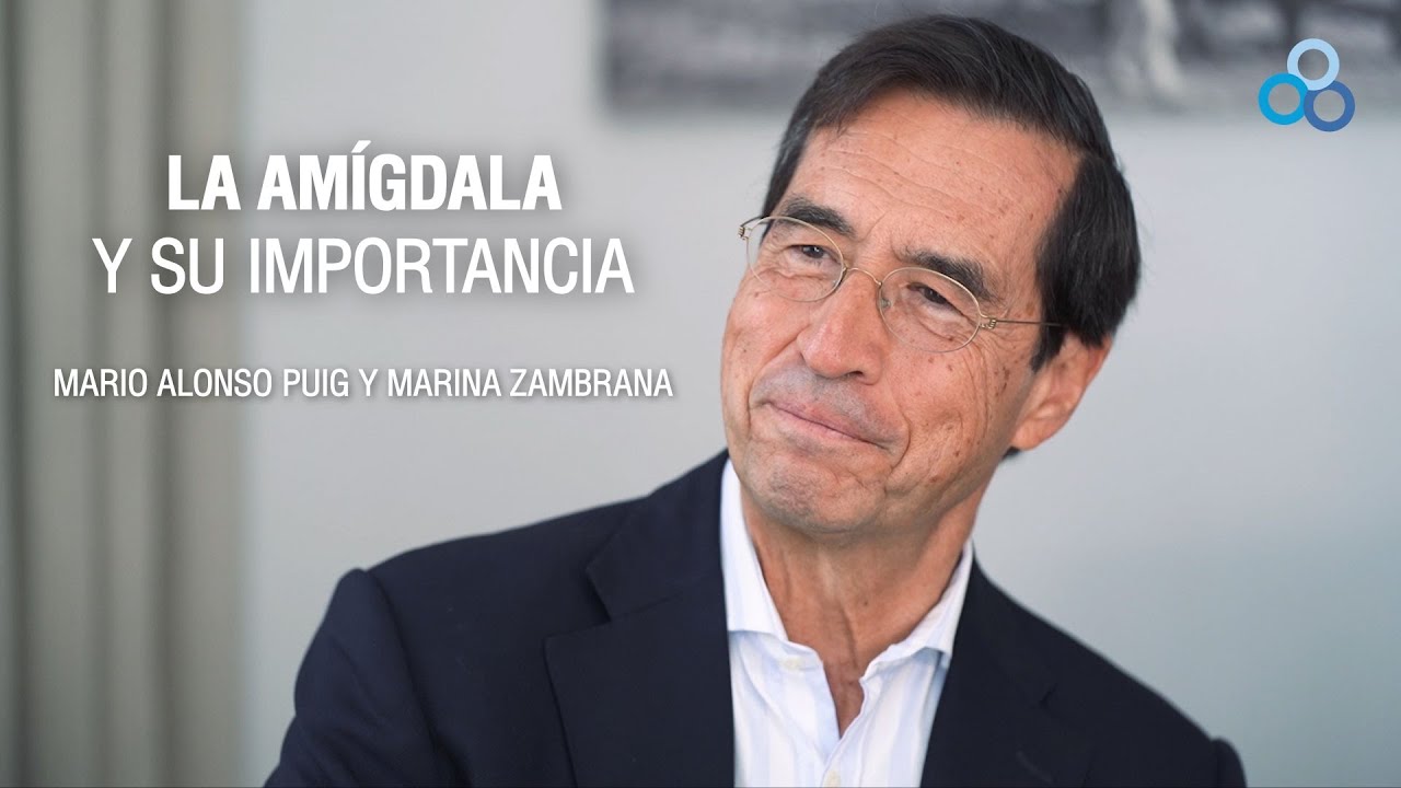 La amígala y su importancia | Mario Alonso Puig - YouTube