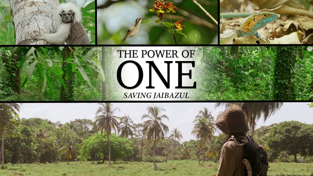 The Power of One - Crowdfunding Campaign Sizzle Reel - YouTube