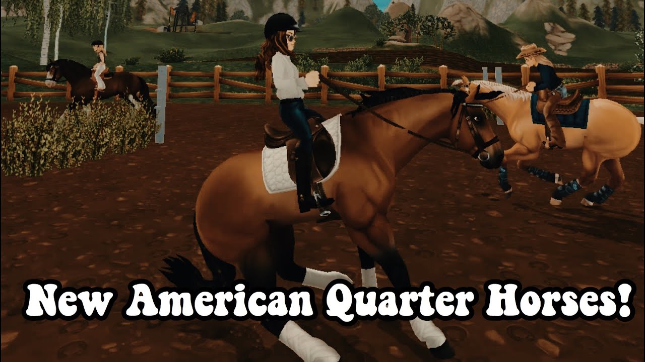 SSO- Buying a New AQH! - YouTube
