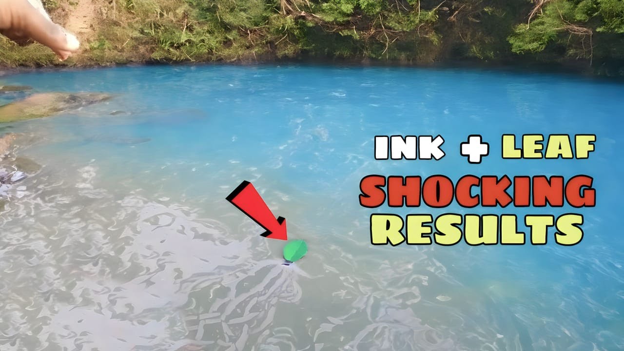 INK + LEAF IN WATER SIMPLE EXPERIMENT😱 || SUMIT.FIRE BOX - YouTube