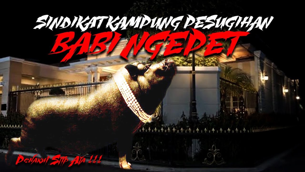 KUAK SINDIKAT PESUGIHAN BABI NGEPET YANG MERESAHKAN - YouTube