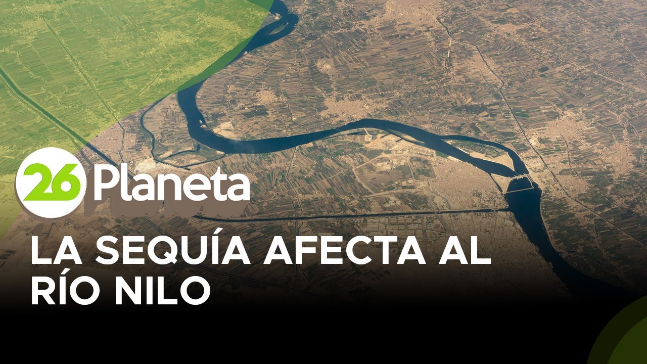 La sequía afecta al río Nilo | Videos | Canal26.com