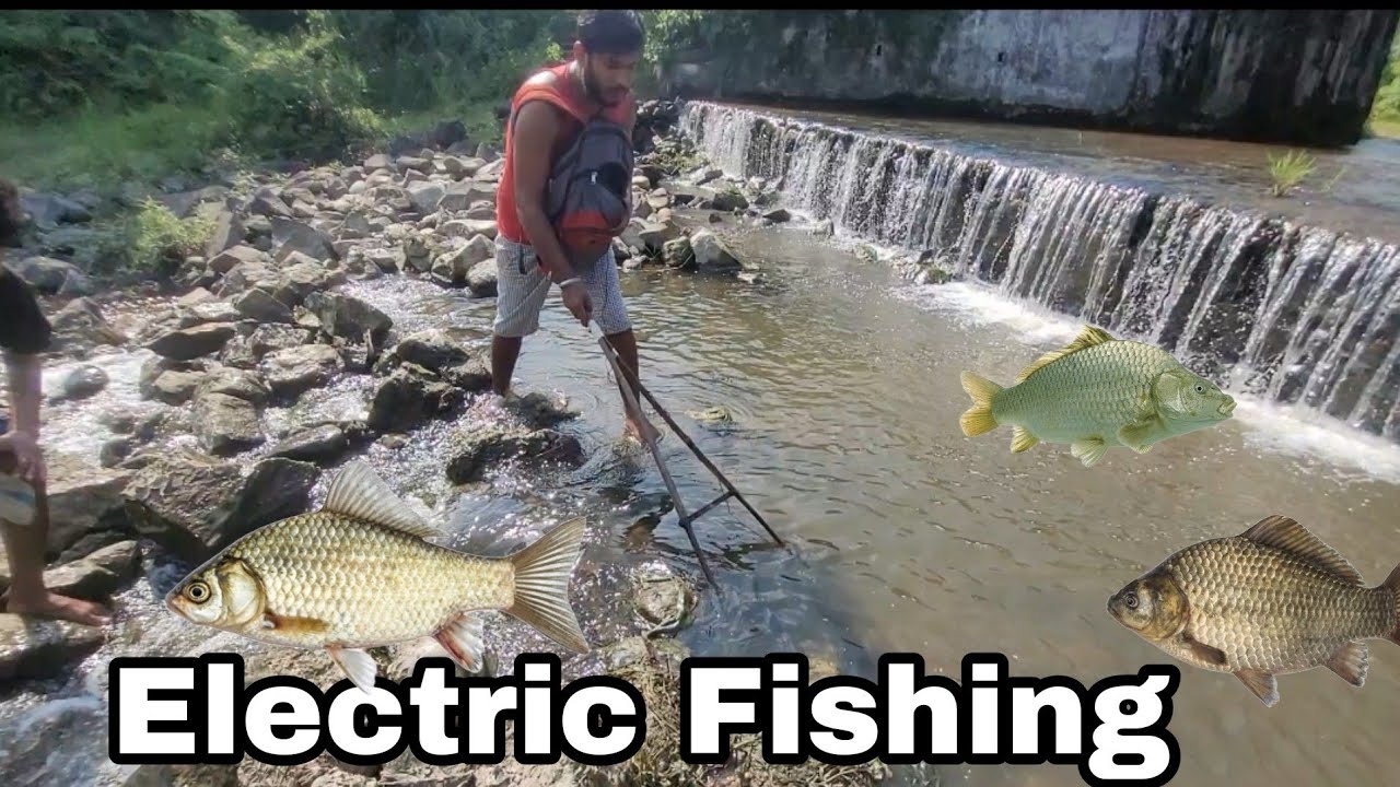 Bahti Nadi Me Ups Se Machli Pakde | Electric Fishing | @Realmoney19 ...