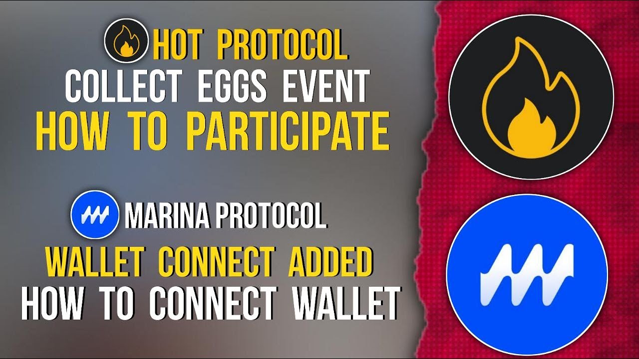 HOT PROTOCOL Collect Eggs | MARINA PROTOCOL Connect Wallet #hotwallet # ...