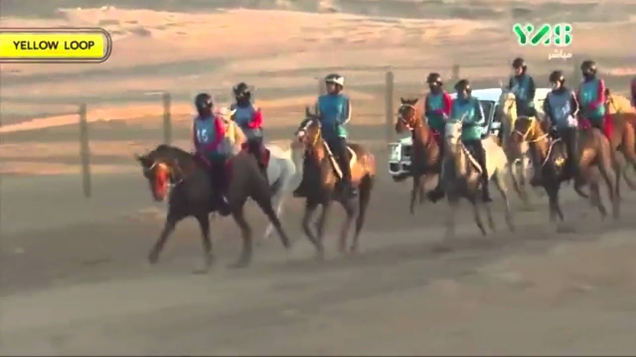 Yas TV قناة ياس Google Chrome 1 20 2016 8 19 42 AM - YouTube