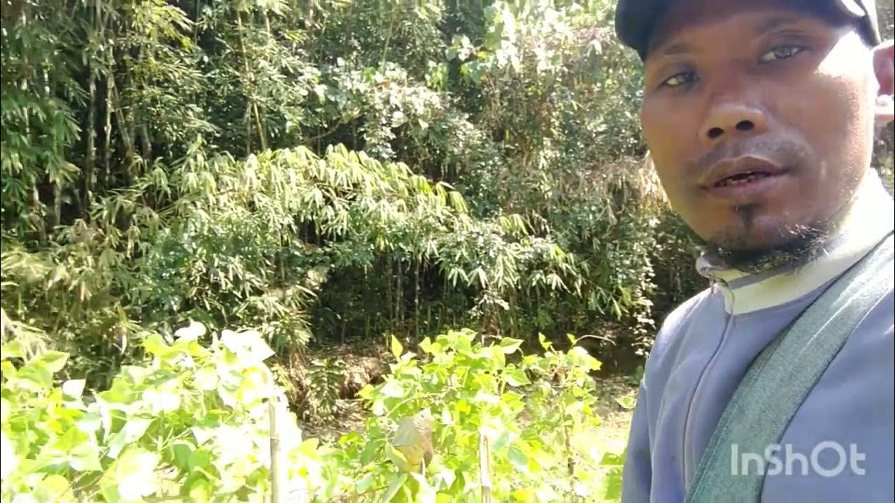 Bean rahlo leh Mukbang a tui lo thei lo Kan hlim hle mai. - YouTube