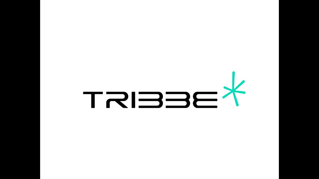 TRIBBE PTE LTD: Illuminating Experience - YouTube