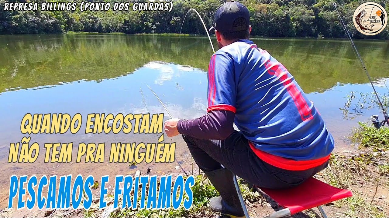 Poucos conhecem esse PONTO DE PESCA - Represa Billings 19/11/2022 ...