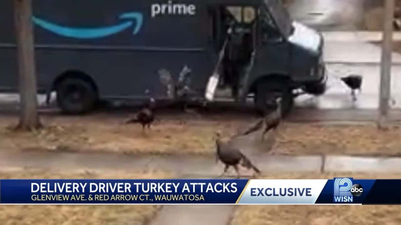Turkey takeover of Wauwatosa no laughing matter for delivery drivers ...