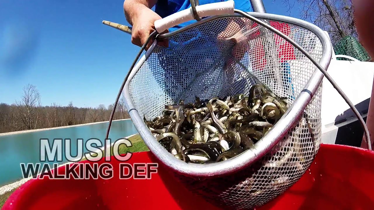 2016 Fish and structure dump - YouTube