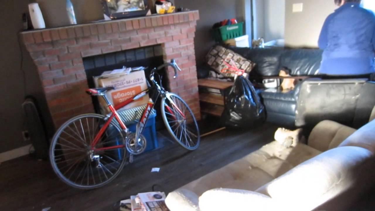 Dog Destroys Entire House - YouTube