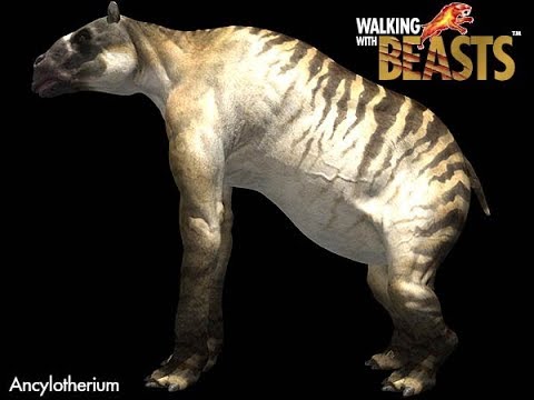 TRILOGY OF LIFE - Walking with Beasts - "Ancylotherium" - YouTube