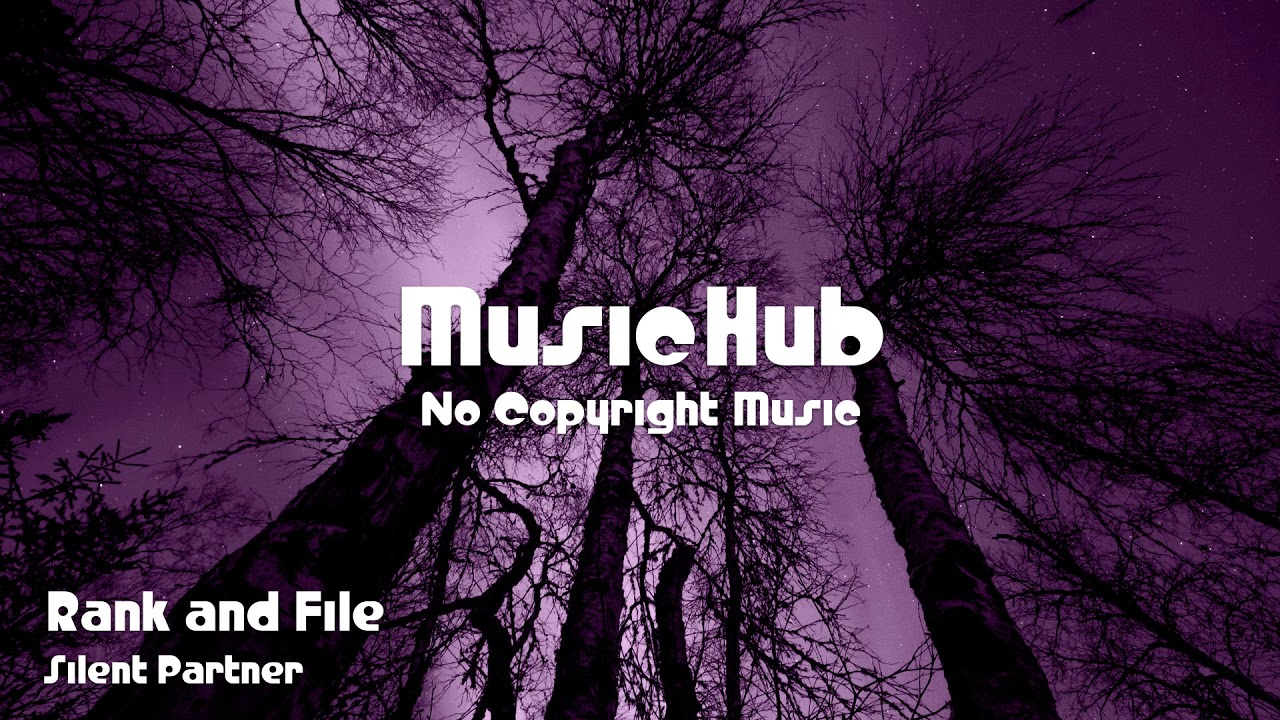 🎵 Rank and File - Silent Partner 🎧 No Copyright Music 🎶 Royalty Free ...