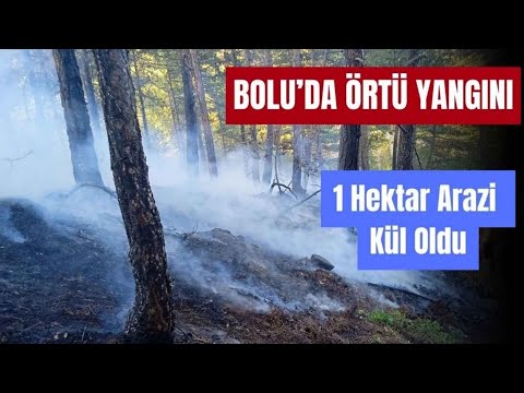 BOLU'DA ÖRTÜ YANGINI: 1 HEKTAR ZARAR GÖRDÜ