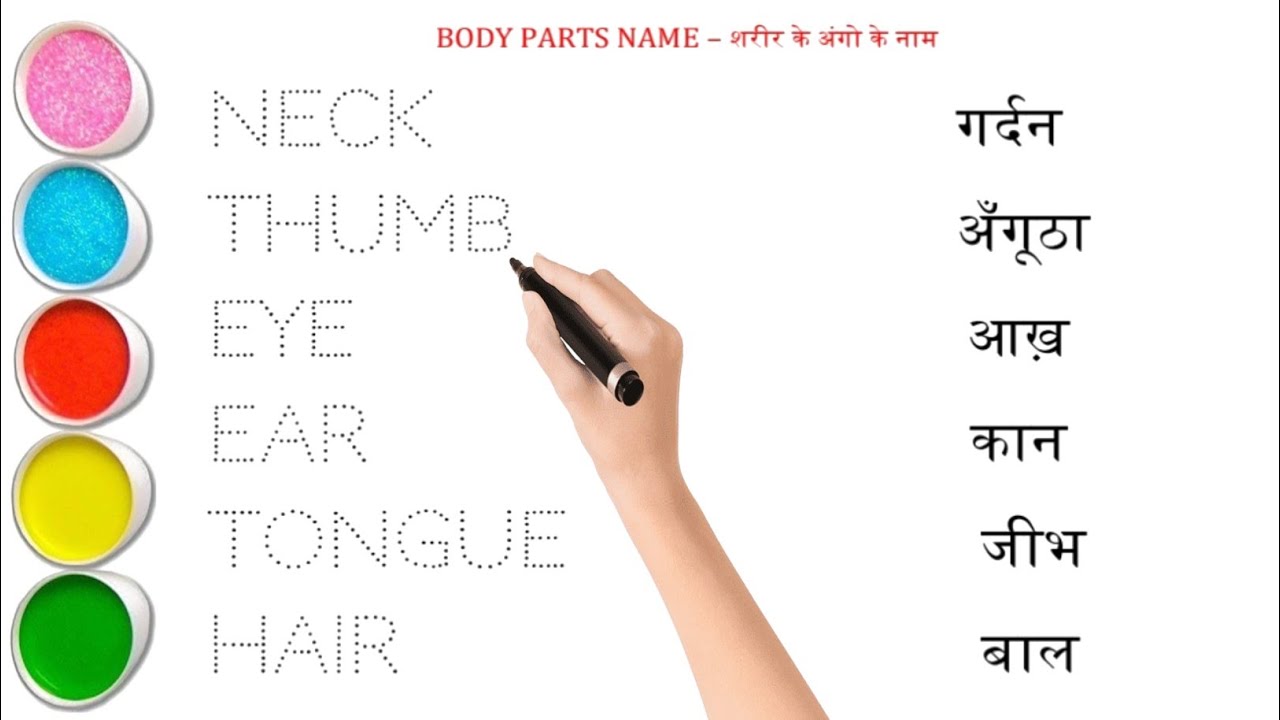 Body parts name for kids | body parts name english and hindi | शरीर के ...