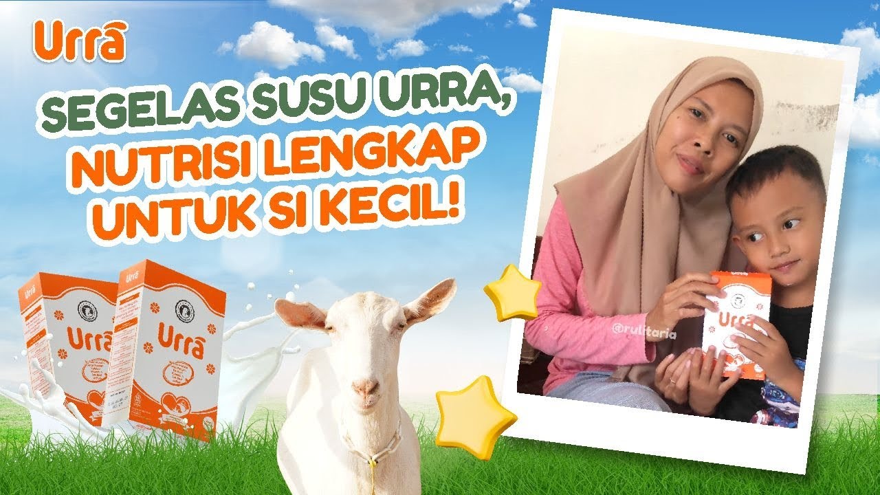 Segelas Susu Urra, Nutrisi Lengkap Untuk Si Kecil! #susukambing - YouTube