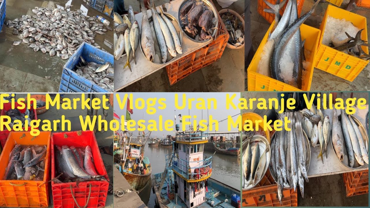 Fish Market Vlogs Uran Karanja Dock Raigad Wholesale Fish Market - YouTube