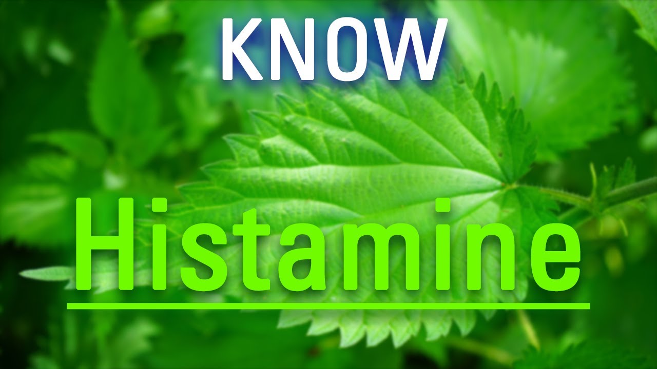 What is Histamine? | How to Say Histamine in English? | How Does ...