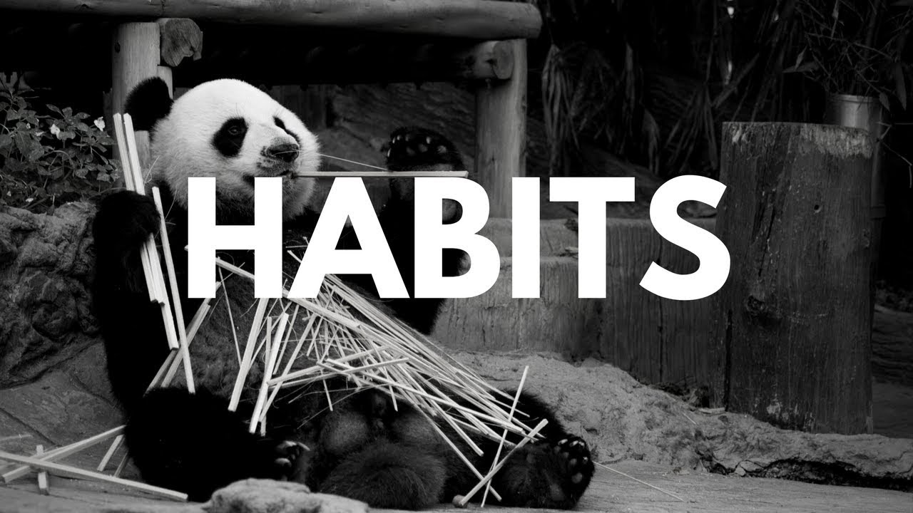 The Power of The One Thing - Habits - 66 Days - YouTube