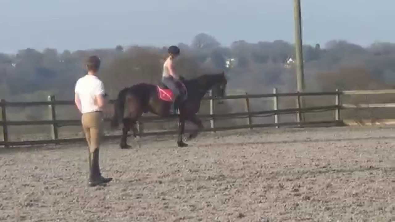 Dressage lesson 09/04/15 - YouTube