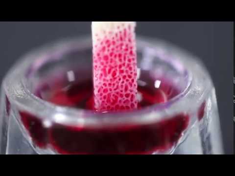 Video Hidrofilia Bonefill - YouTube