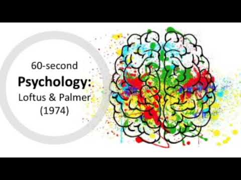 BTEC Level 3 Applied Psychology in 60(ish!) Seconds: Loftus and Palmer ...