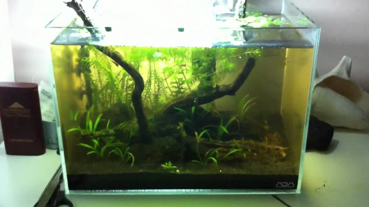 Complete and Utter disaster - YouTube