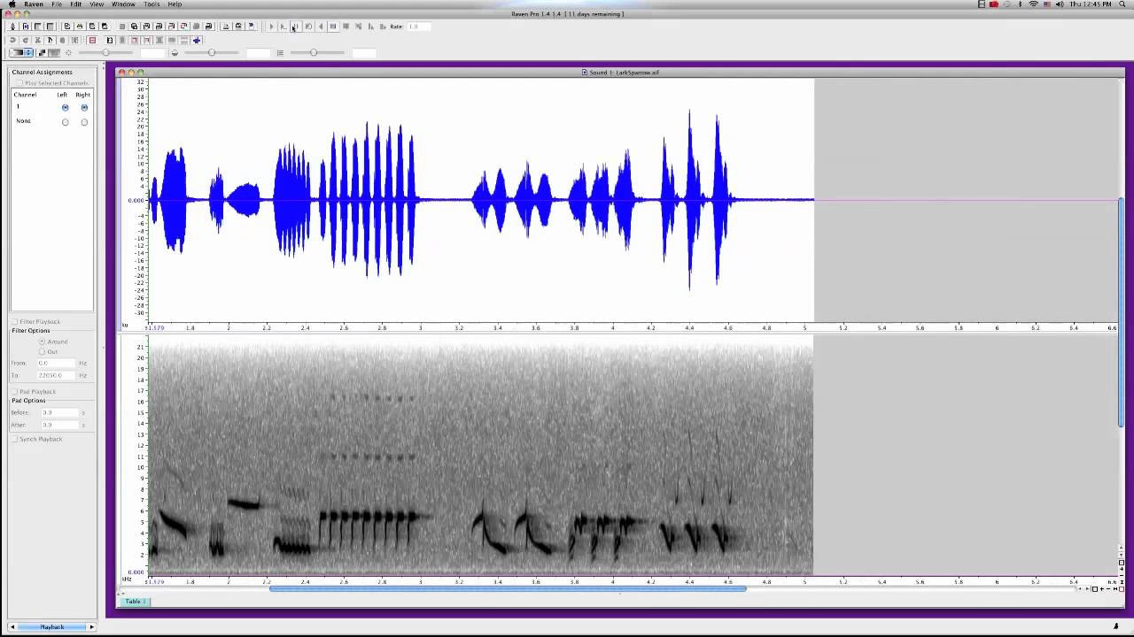Viewing Files in Raven Pro - YouTube