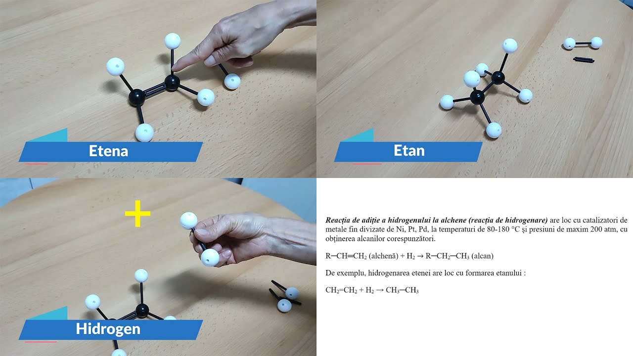 Reacția de adiție a hidrogenului la alchene - YouTube
