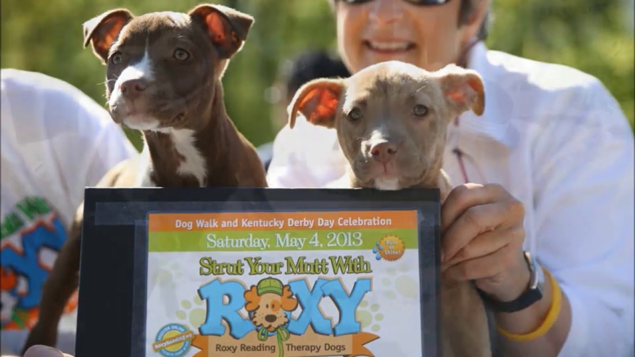 Strut Your Mutt With Roxy Reading Therapy Dogs! - YouTube