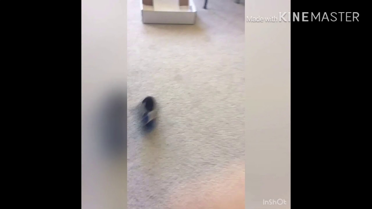 Epic!reverse trick shots 2 - YouTube