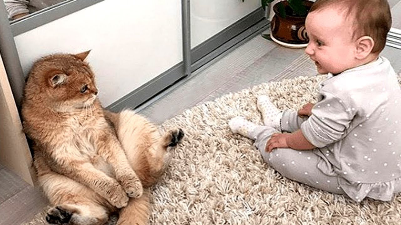 Cute Baby And Cats Playing Together _rolling_on_the_floor_laughing_ A ...