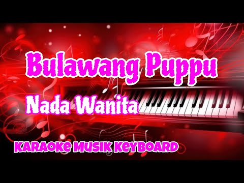 Bulawang Puppu Nada Cewek Karaoke - DR. H. A. Zulkifli Atjo SH. MH