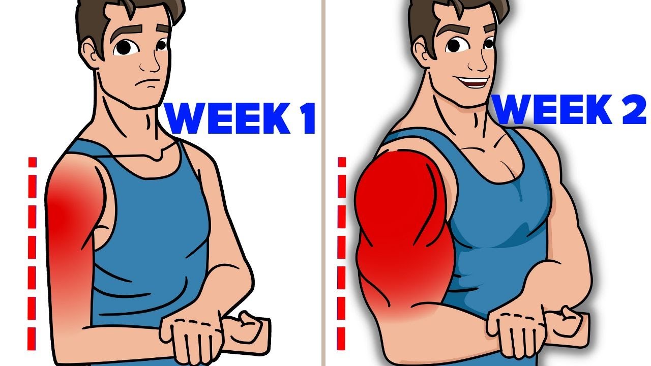 Bigger Arms in 2 WEEKS! (Home Exercises) - YouTube