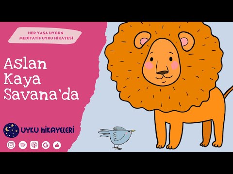 Aslan Kaya Savana'da