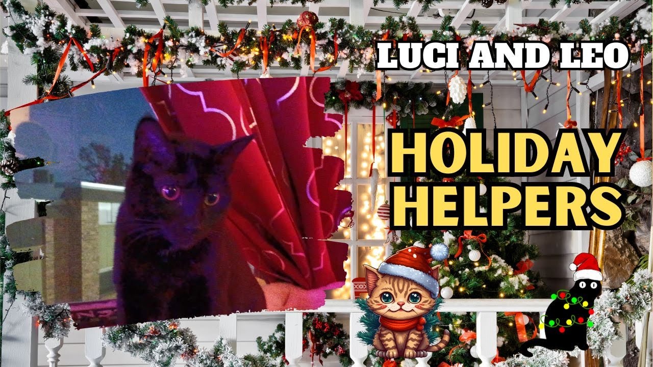 Magical Christmas Transformation for Luci and Leo 🎄 - YouTube