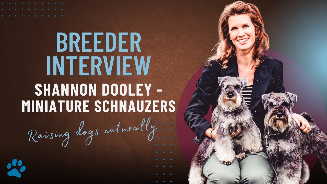12 Days of Breeders Day 10 - Shannon Dooley of Howleluyah Miniature ...