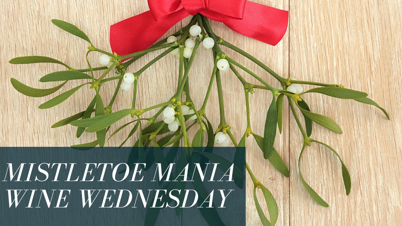 Mistletoe Mania - YouTube