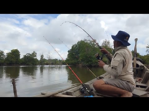 MANCING IKAN BESAR DI RUMPON KAYU KERING INI, TARIKAN NYA SUSAH ...