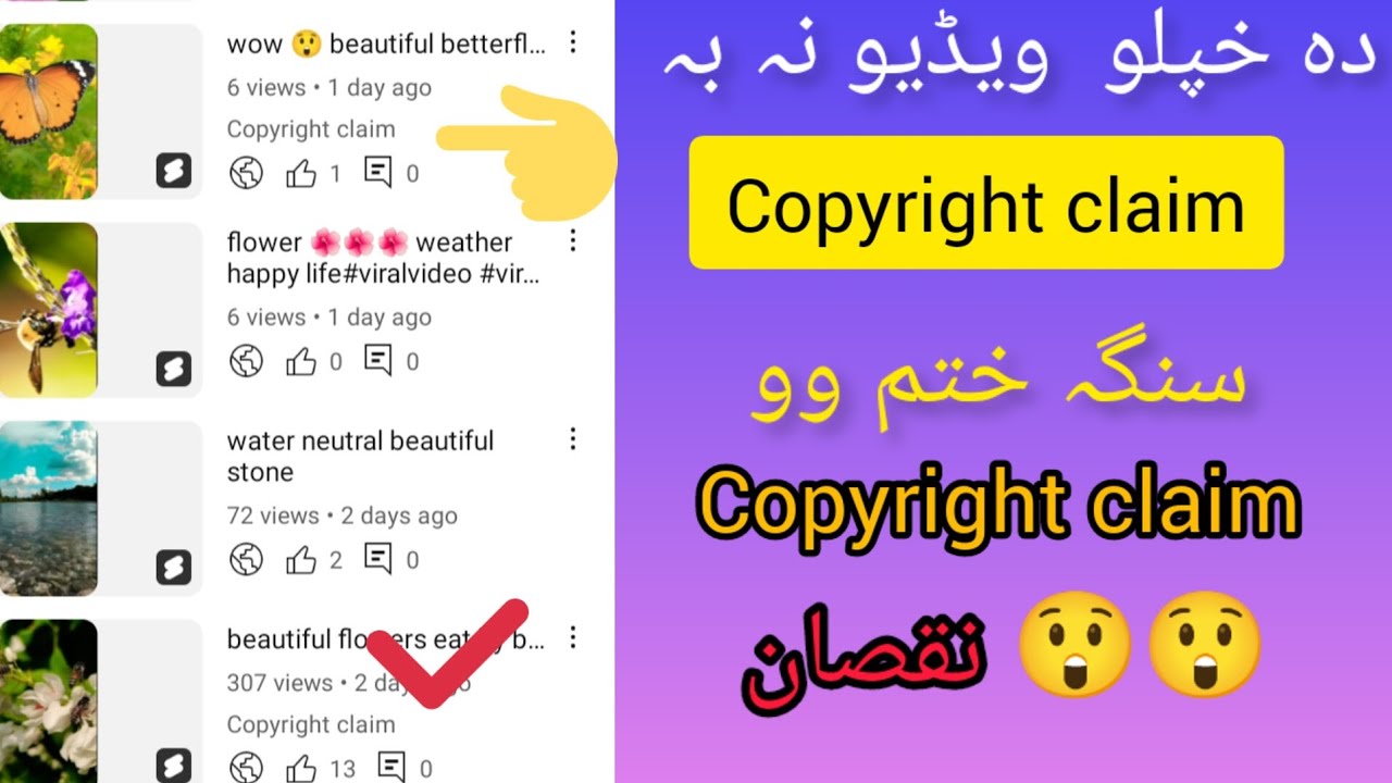 How a copyright claim is removed _ how to read a bad effect on the ...