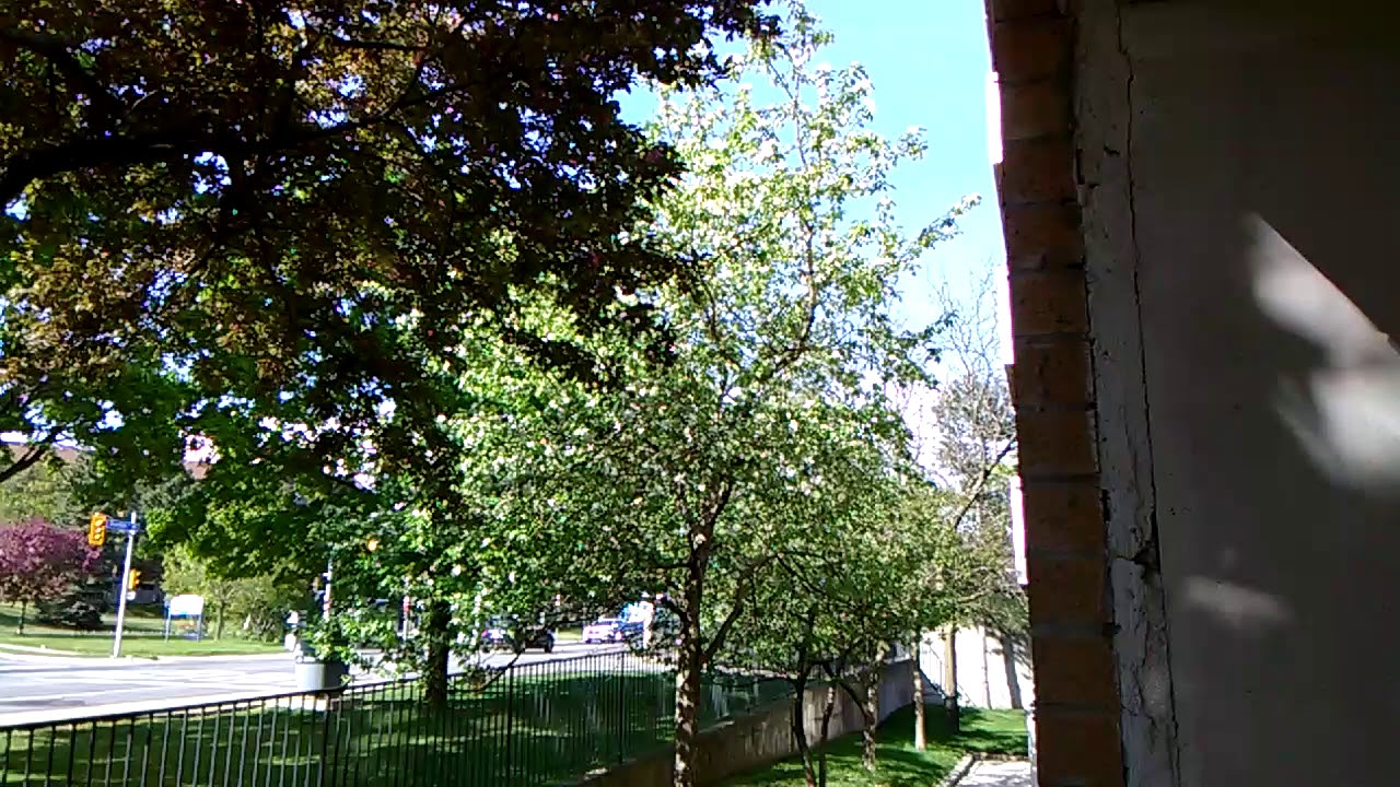 Spring - Petals. - YouTube