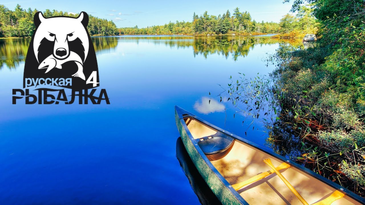 Русская Рыбалка 4 🔥🍀🔥 Russian Fishing 4 - YouTube