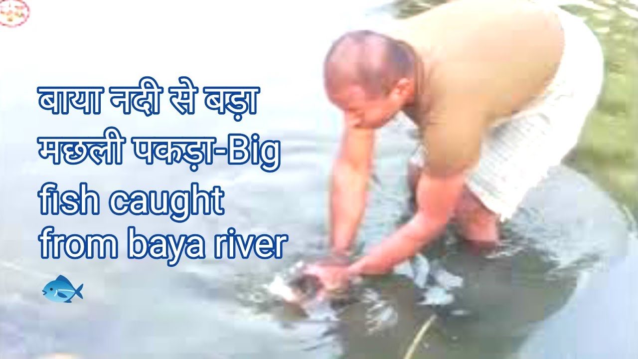 बाया नदी से बड़ा मछली पकड़ा-Big fish caught from baya river🐟 - YouTube