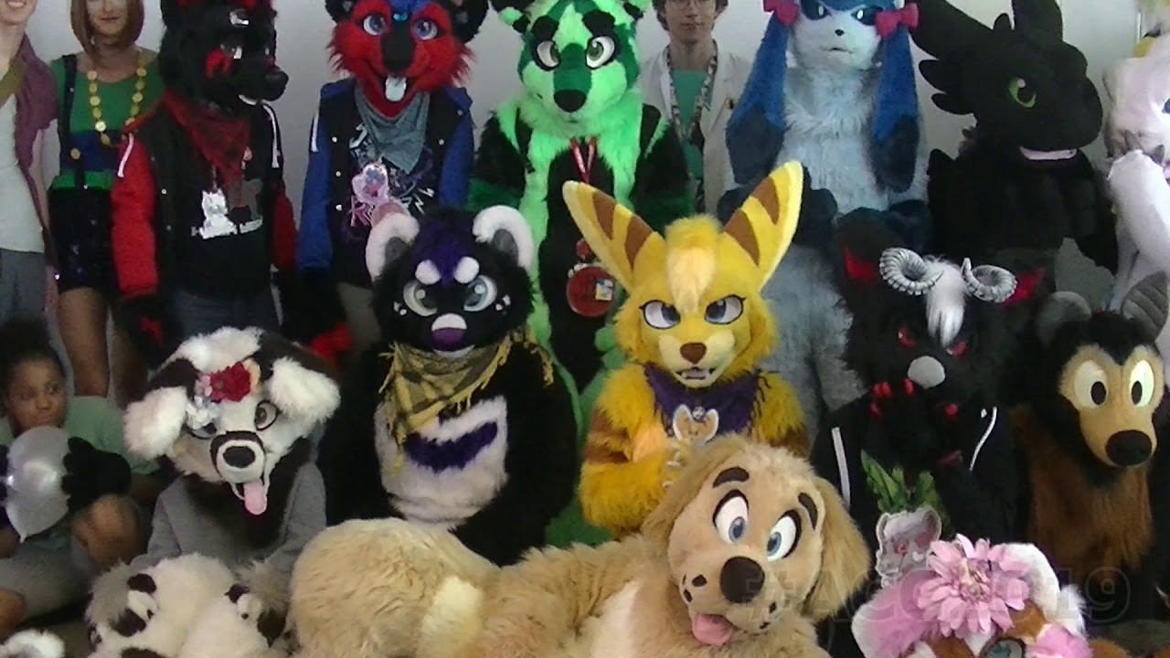 Amsterdam Comic Con (ACC) Fur Meet 31 augustus 2019 - YouTube