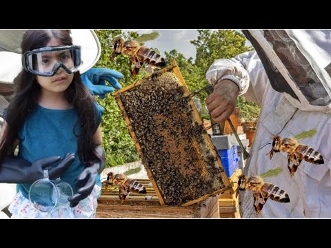 First Time Seeing Bees in Real Life with Amy Adventureland | Busy Bees ...