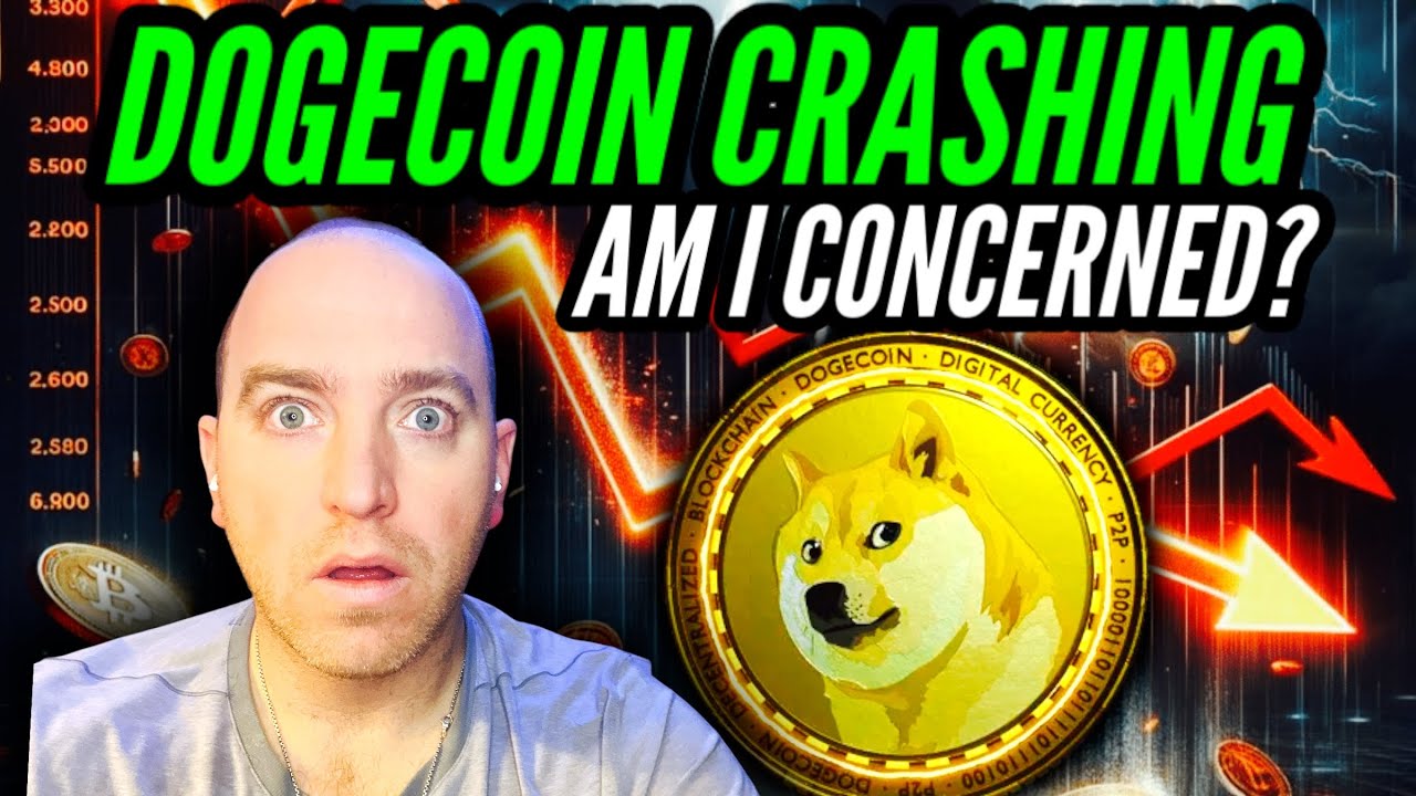 DOGECOIN (DOGE) - Am I Concerned? DOGECOIN FLASH CRASH! - YouTube
